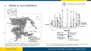 Geology, botany and chemistry of peat environment ppt | PPT