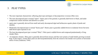 Geology, botany and chemistry of peat environment ppt | PPT