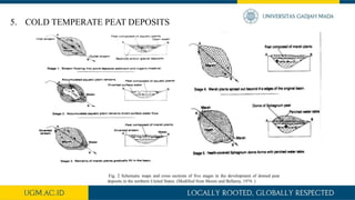 Geology, botany and chemistry of peat environment ppt | PPT