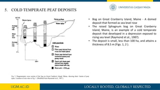 Geology, botany and chemistry of peat environment ppt | PPT