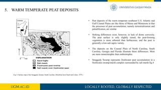 Geology, botany and chemistry of peat environment ppt | PPT