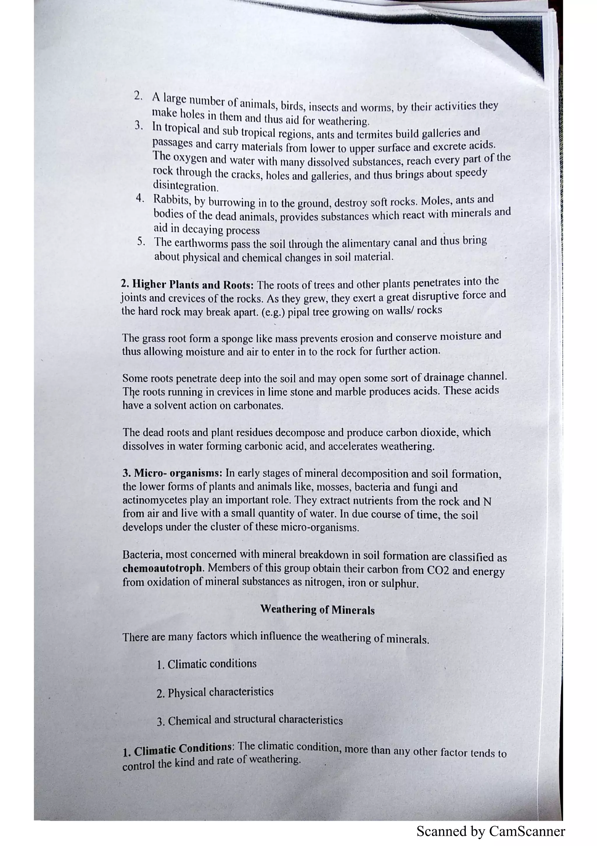 Geology & soil notes | PDF