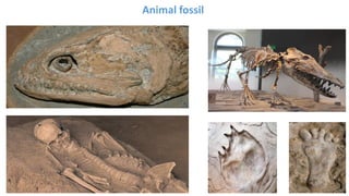 Geology Lectute Notes for soil and earthworks | PDF