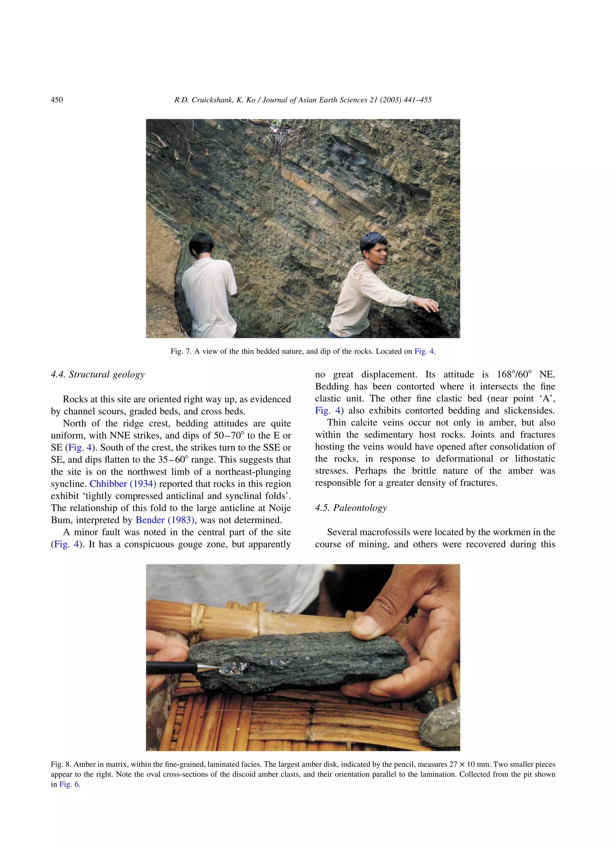 Geology of an amber locality in the hukawng valley northern myanmar | PDF