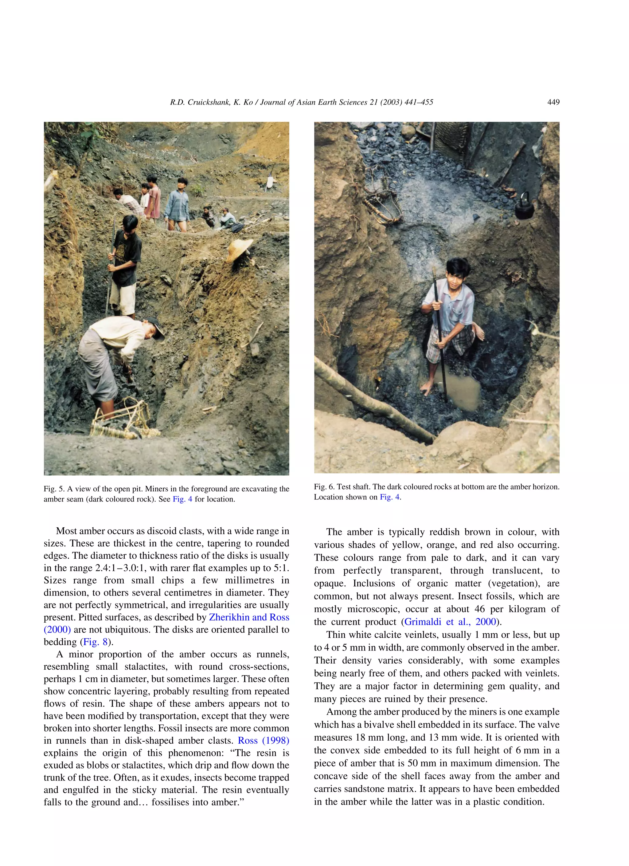 Geology of an amber locality in the hukawng valley northern myanmar | PDF