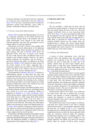 Geology of an amber locality in the hukawng valley northern myanmar | PDF