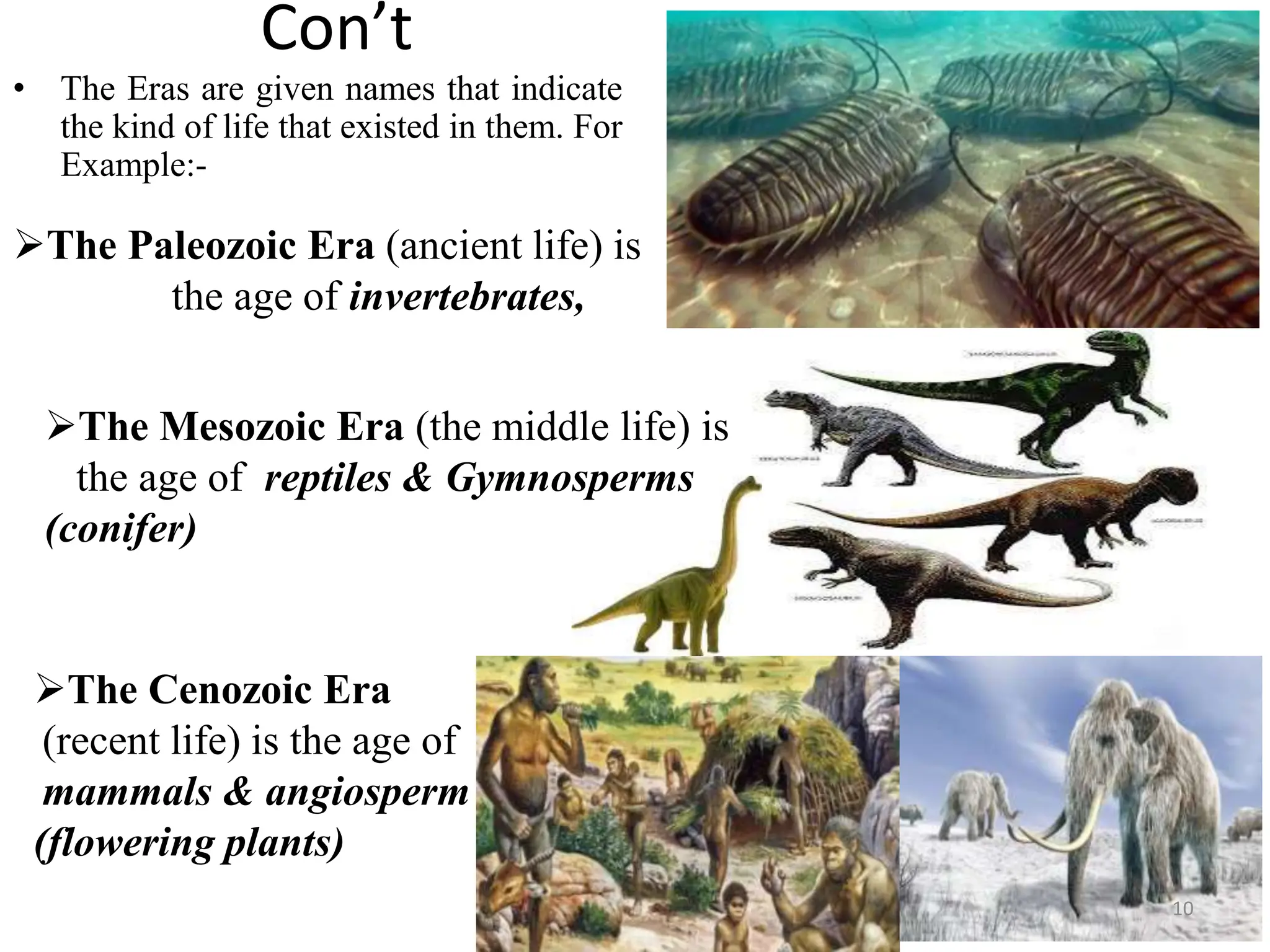 Chapter 2- Geology of Ethiopia and the Horn (GeES 1011).pptx