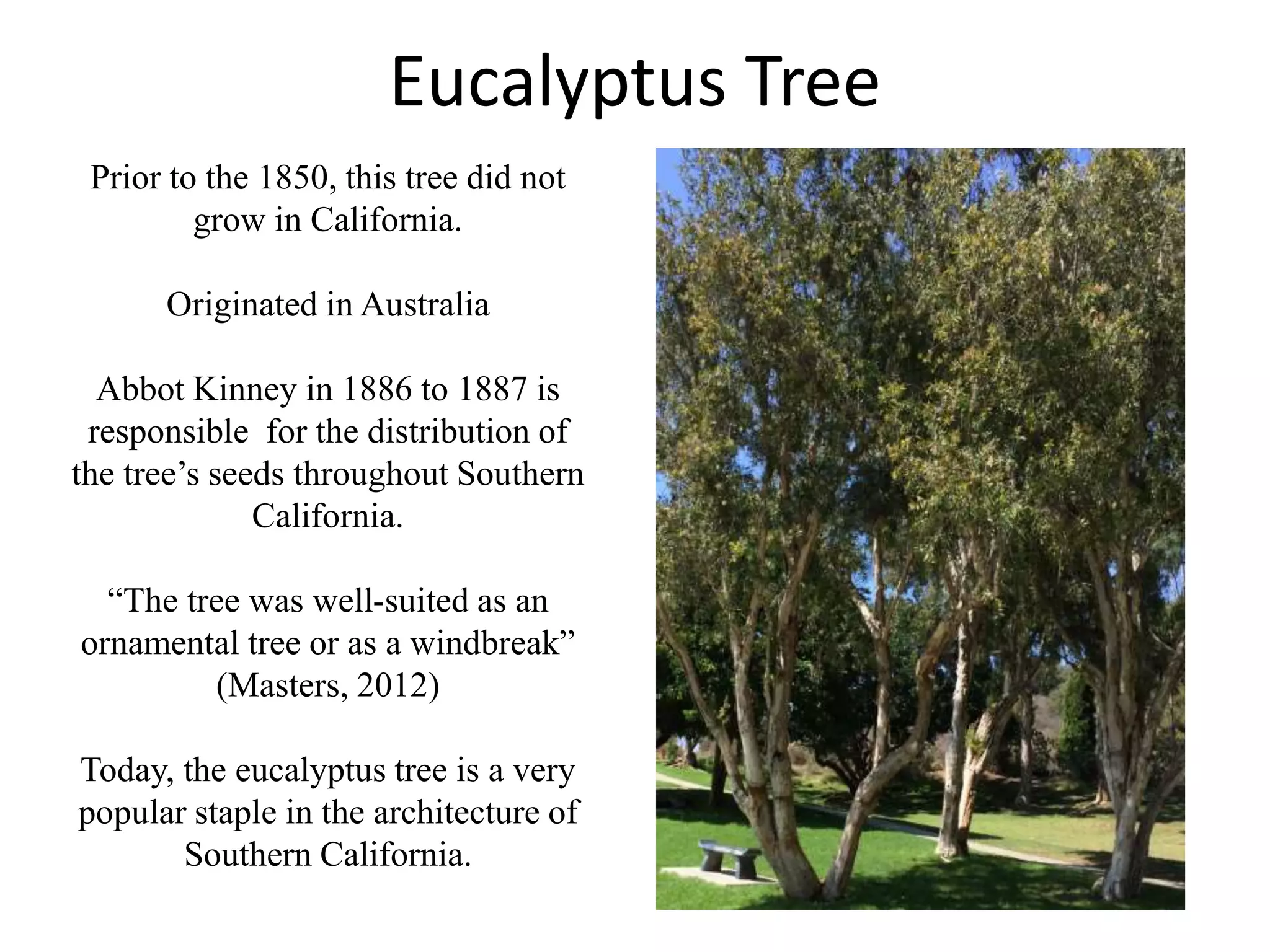 Geology of Kenneth Hahn Park | PPTX