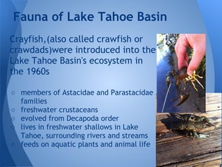 Geology of Lake Tahoe 2012, | PDF