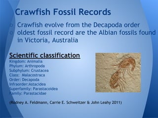 Geology of Lake Tahoe 2012, | PDF