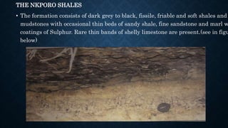 GEOLOGY OF THE ANAMBRA BASIN.pptx