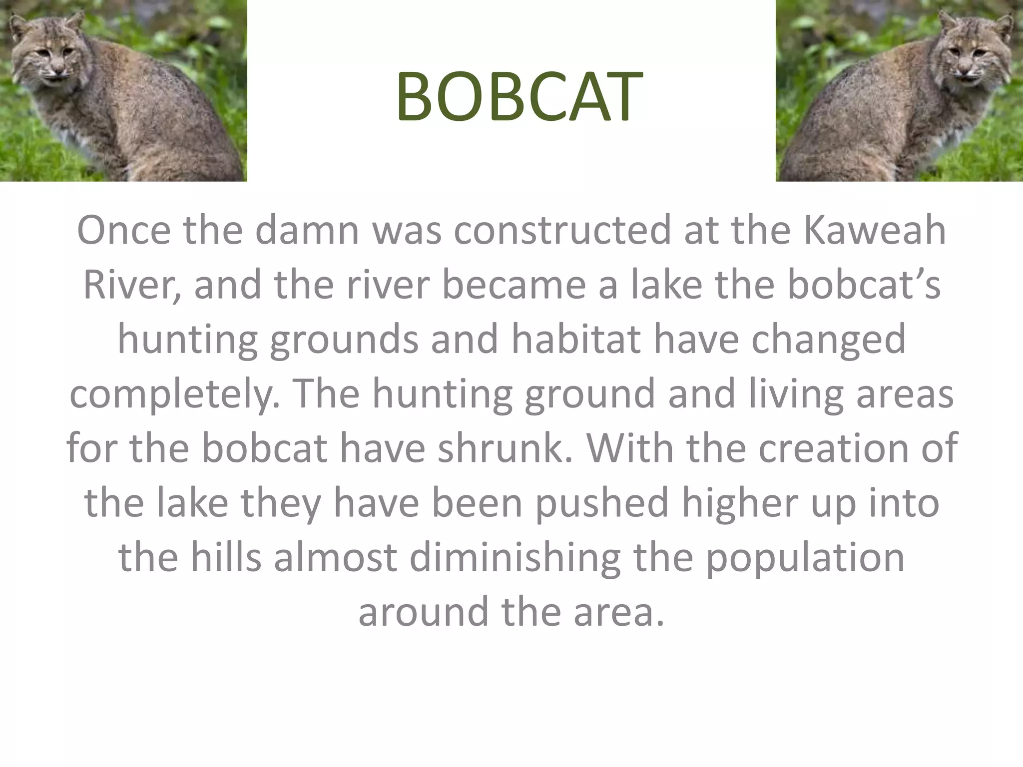 Geology prject part 2 | PPTX