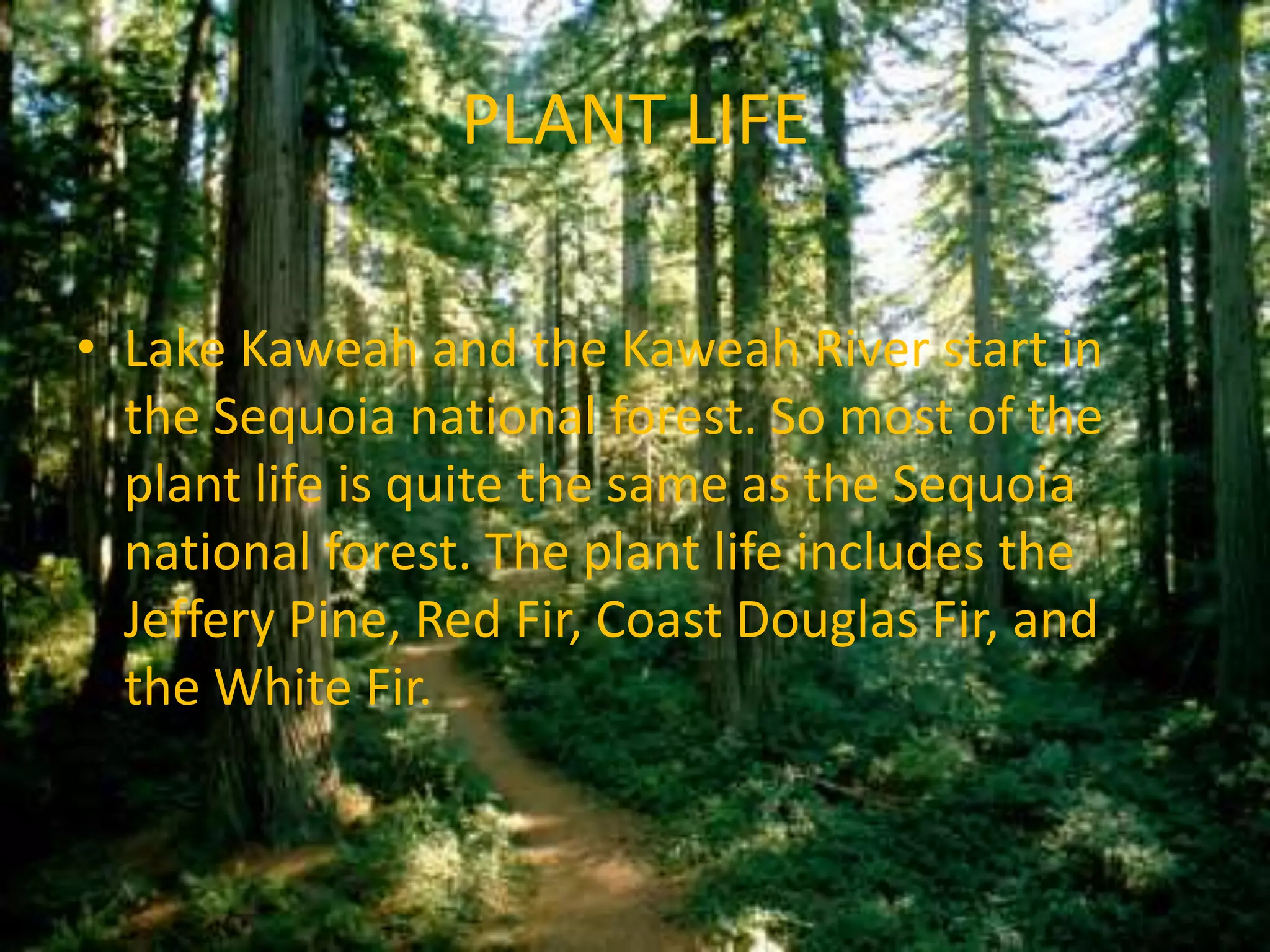 Geology prject part 2 | PPTX