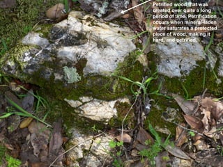 Geology Project | PPT