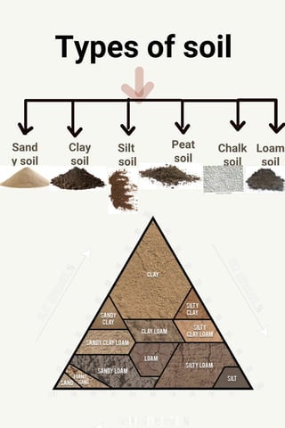 Soil formation and Types | PDF