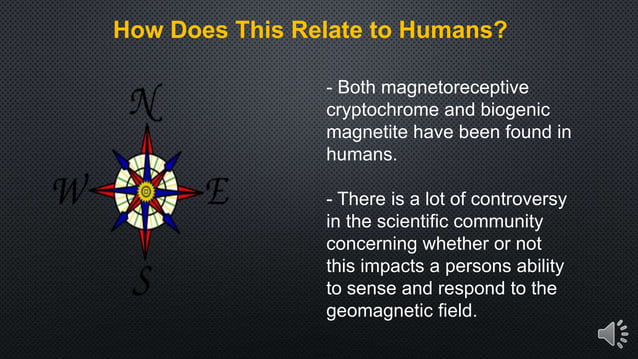 Geomagnetic activity and sleep patterns | PPT
