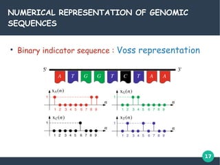 Geome signal processing | PDF | Genetics | Science
