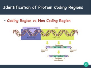 Geome signal processing | PDF | Genetics | Science