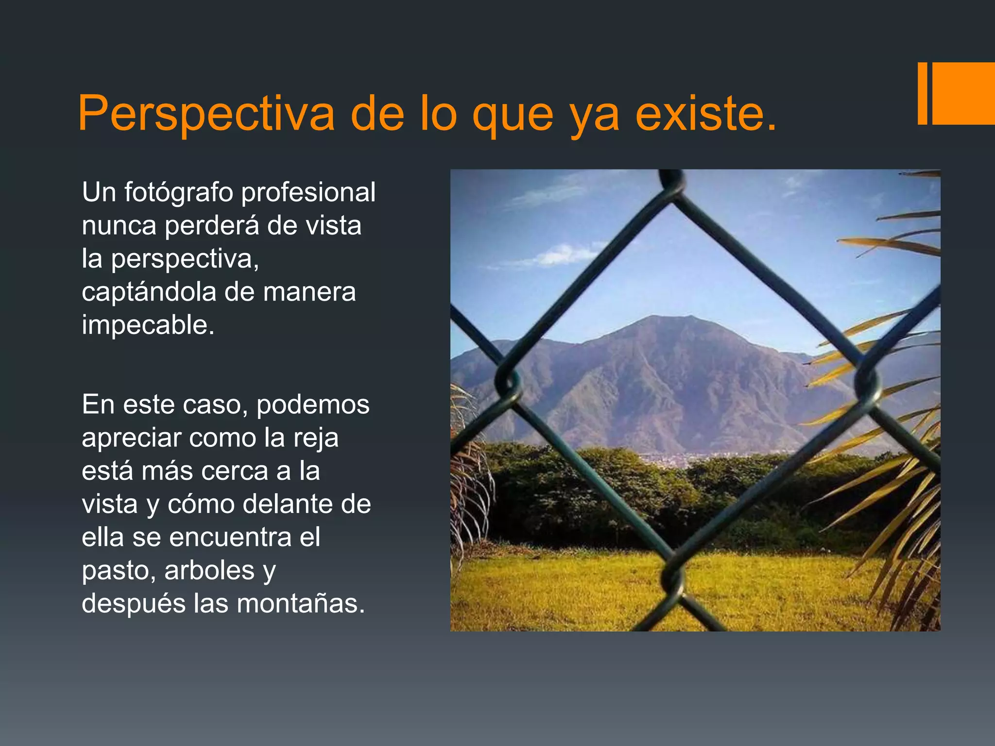 Ejemplos de perspectiva. | PPT