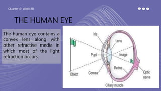 GEOMETRIC-OPTICS-FINAL.pptx
