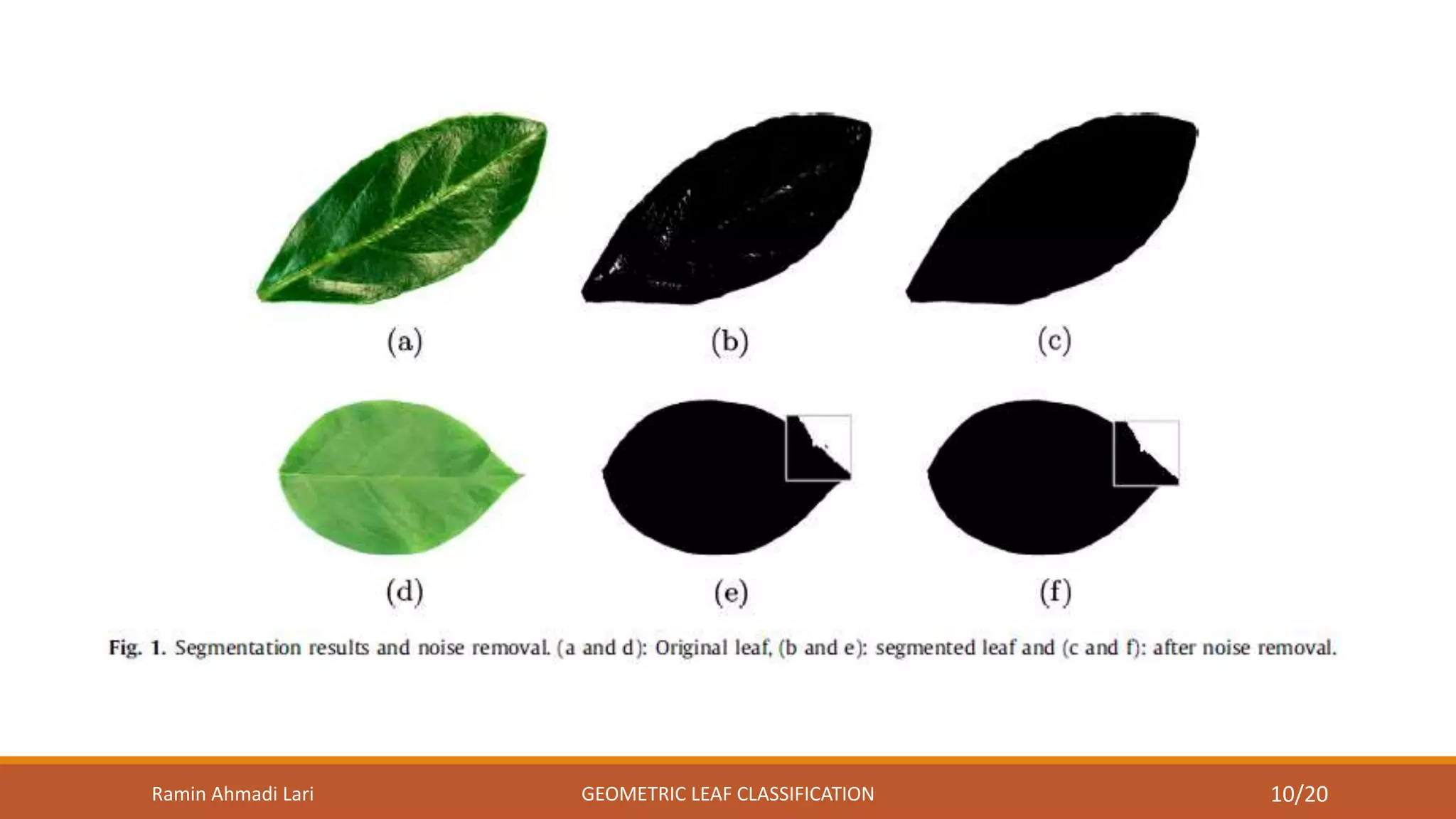 Geometric leaf classification | PPT