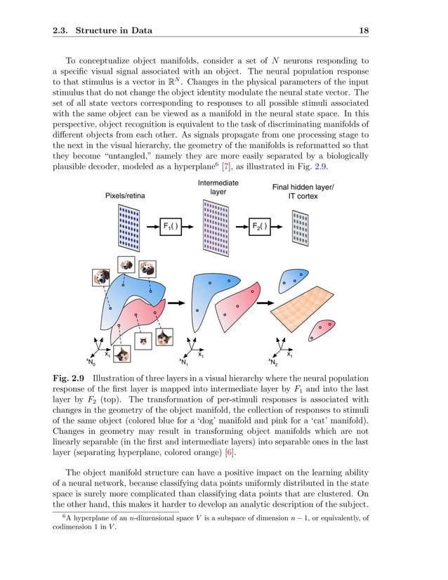 Geometric Processing of Data in Neural Networks | PDF | Physics | Science
