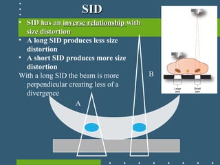 Geometric Properties Distortion | PPT