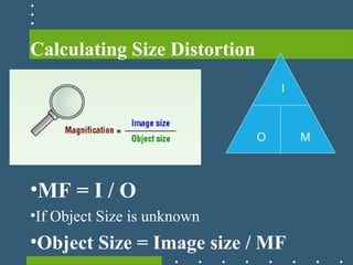 Geometric Properties Distortion | PPT