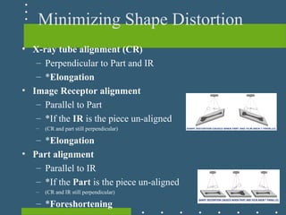 Geometric Properties Distortion | PPT
