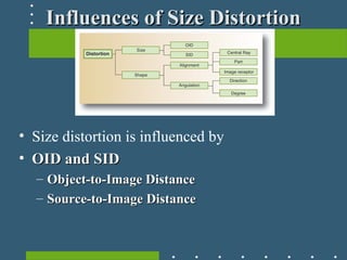 Geometric Properties Distortion | PPT