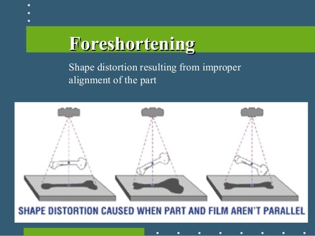 Geometric Properties Distortion