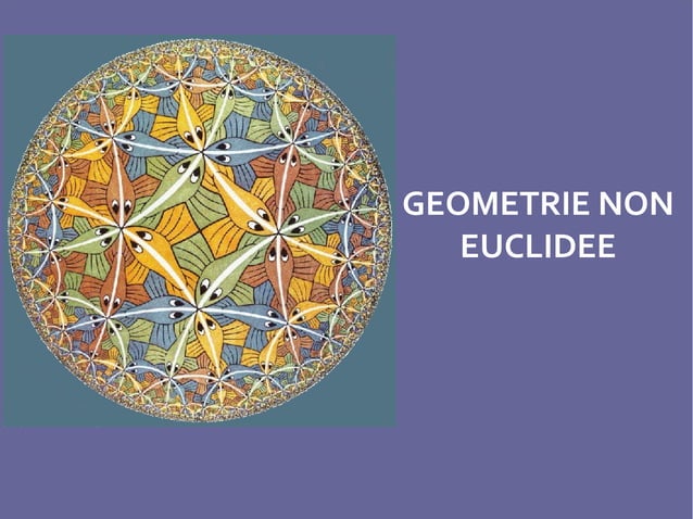 Geometrie non euclidee | PPT