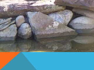 Triangles all around us - Geometry | PPTX