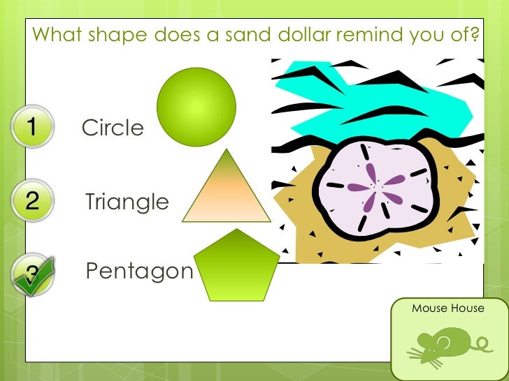 Geometry in Everyday Things