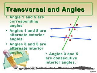 Geometry sizes and shapes | PPT