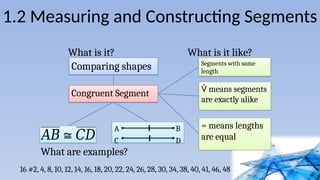 Comprehensive Introduction to Geometry: Points, Lines, Angles, and ...