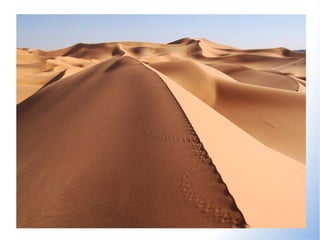 Geometry everywhere | PPT