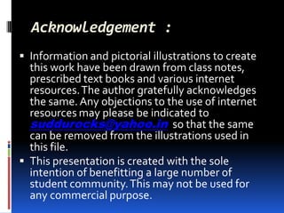 Geometry In Real Life Project