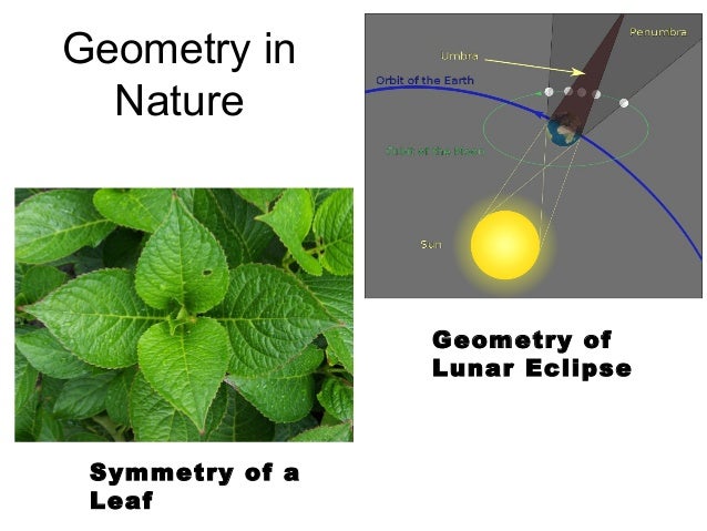 Geometry in daily life