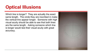 Geometry powerpoint | PPTX