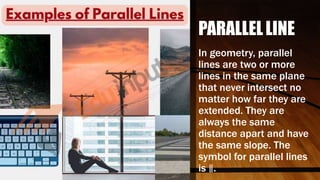 Geometry:shapes, lines,line segment and point | PPTX