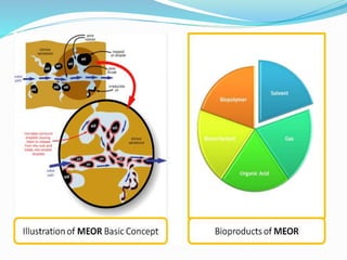 Geomicrobiology | PPTX