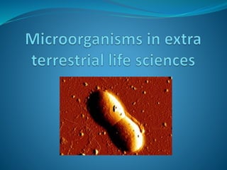 Geomicrobiology | PPTX