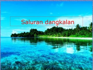 GEOMORFOLOGI Bawah Laut geografi bahan ajar | PDF