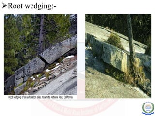 Weathering & it types | PPTX