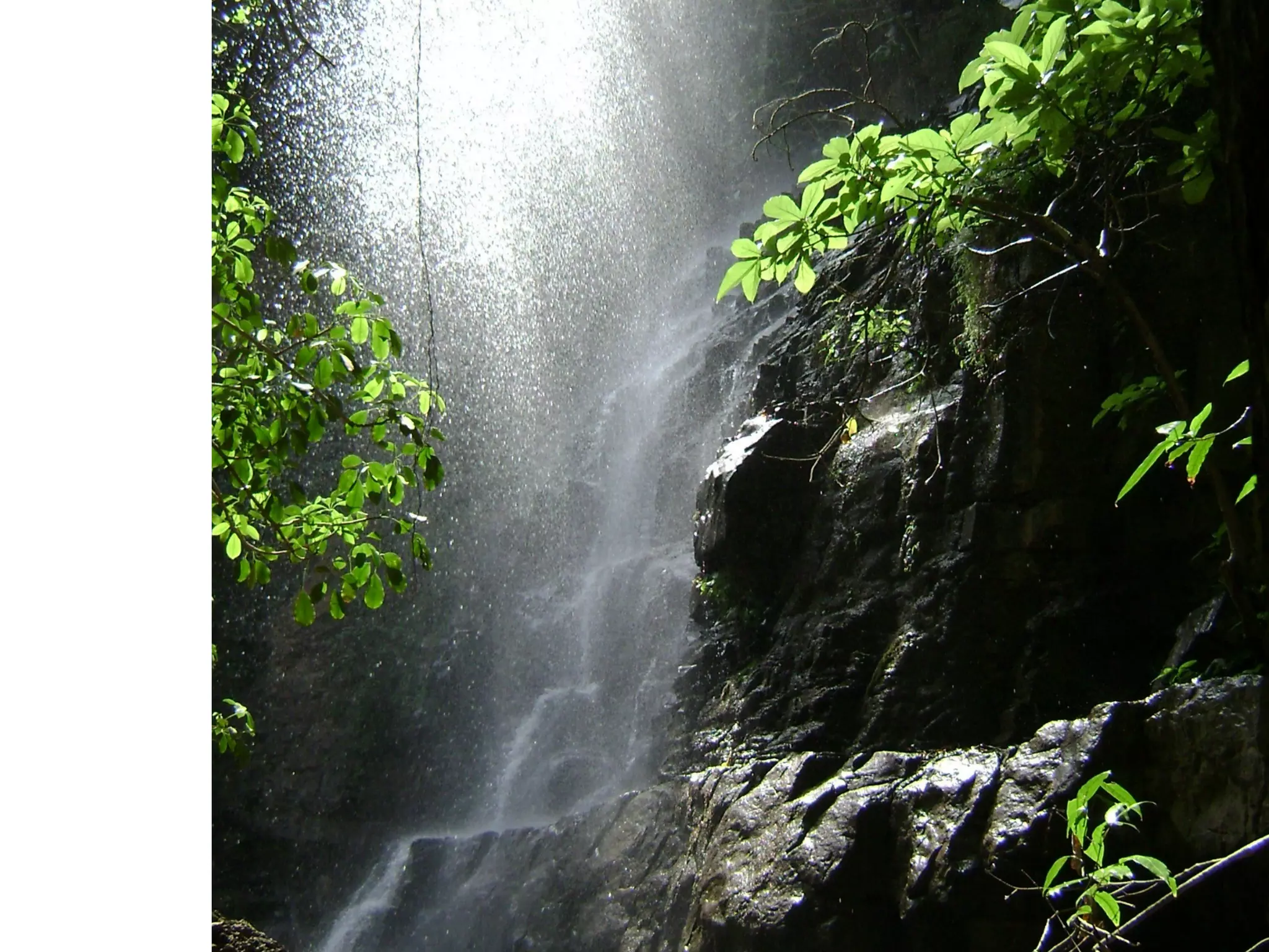 G E O Nature Slides | PPT