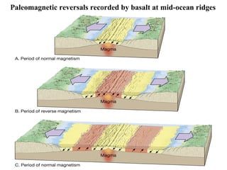 Paleomagnetism Definition