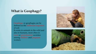 Geophogy | PPT
