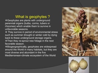Geophytes of western ghats | PPTX