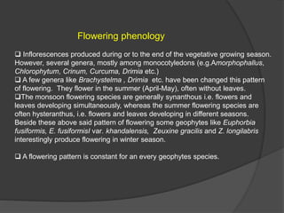Geophytes of western ghats | PPTX